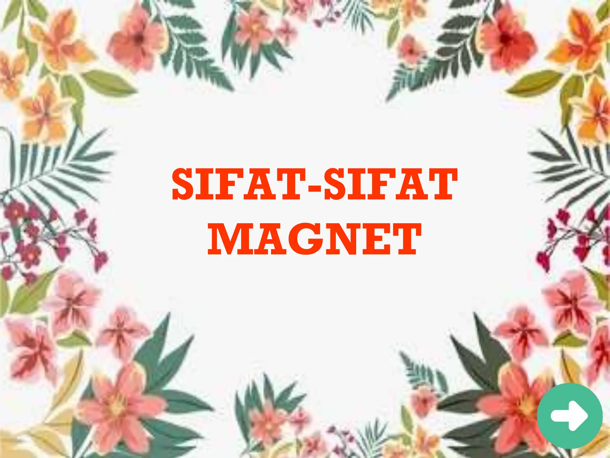 PPT MAGNET.pptx
