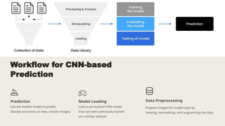 PPT [Major] (1).pptjkjnkjokfjcklnmjbnbhjodj | PPT