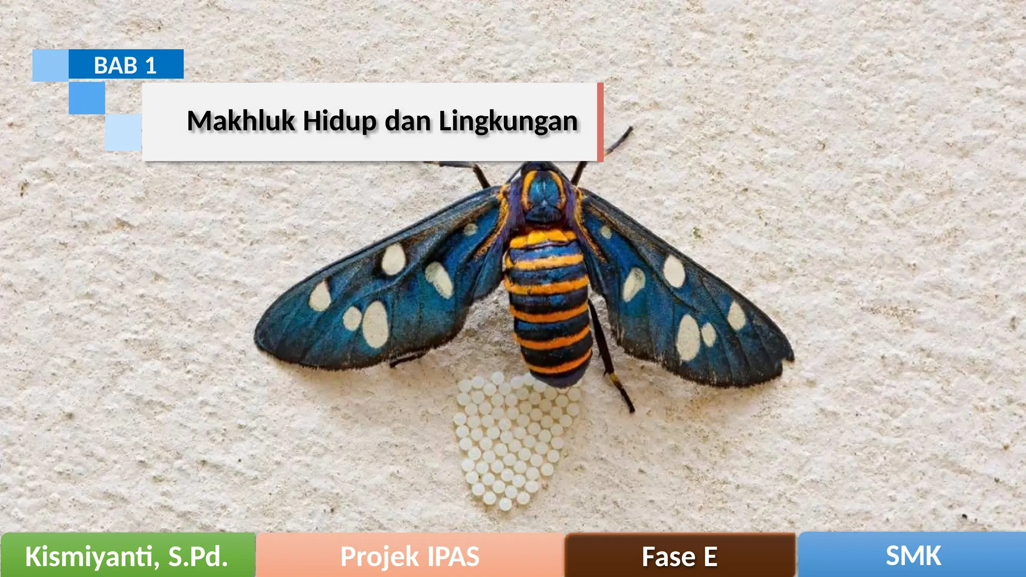 PPT Makhluk Hidup dan Lingkungannya PROJEK IPAS SMK Kelas 10 ...