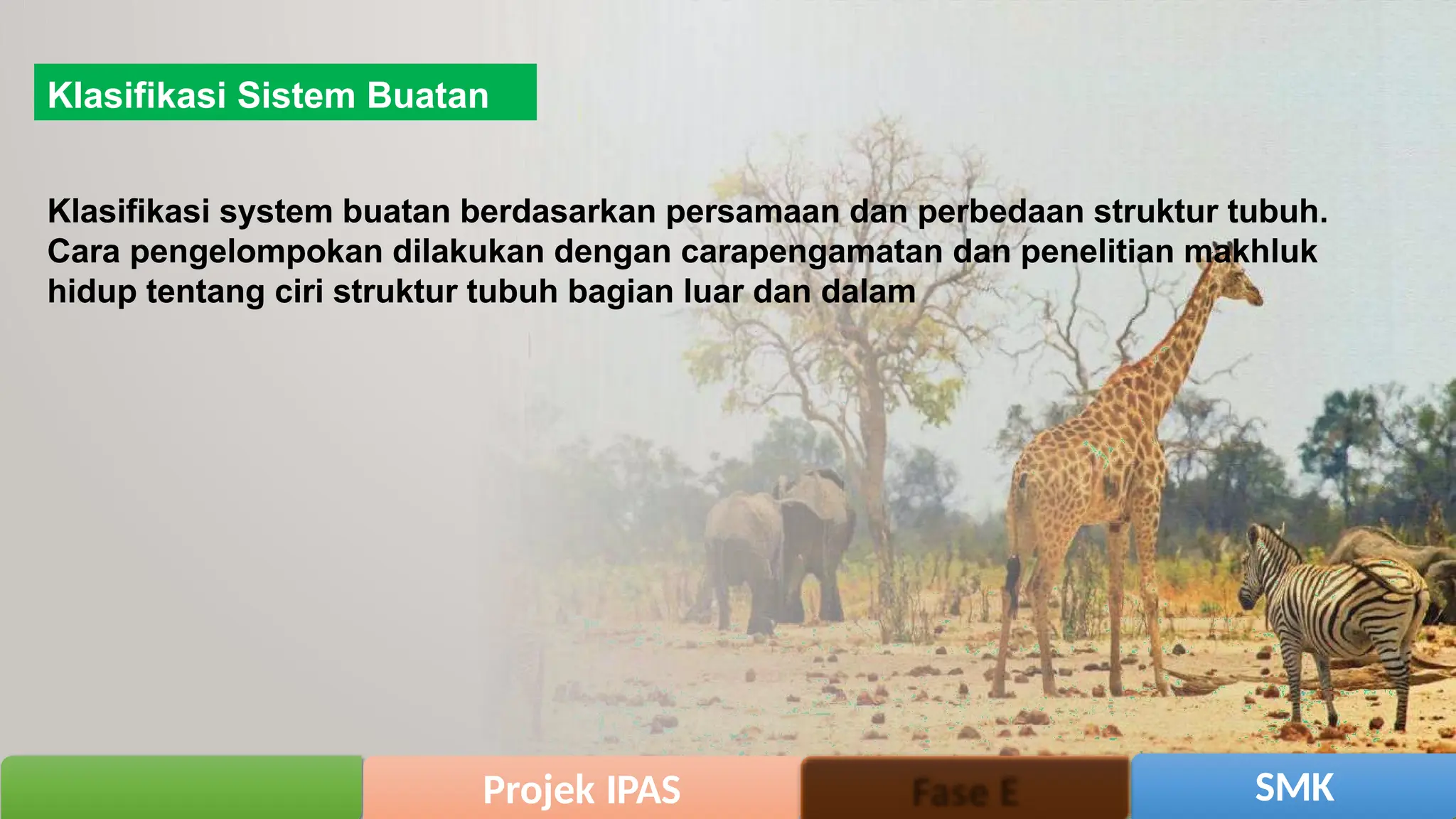 PPT Makhluk Hidup dan Lingkungannya PROJEK IPAS SMK Kelas 10 ...