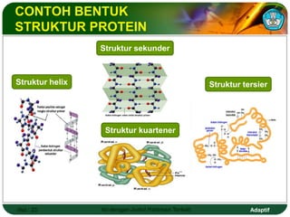 Ppt makro molekul | PPT