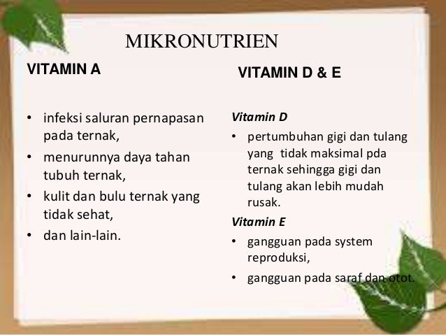 Ppt makro n mikronutrien