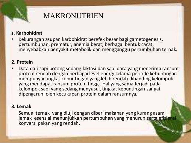 Ppt makro n mikronutrien