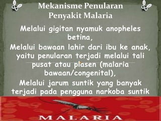 Ppt malaria | PPTX