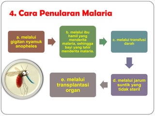 Malaria | PPTX
