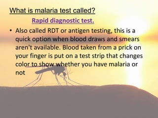 Ppt malaria , JOMY GEORGE | PPTX