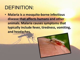 Ppt malaria , JOMY GEORGE | PPTX