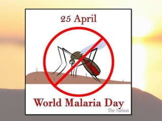 Ppt malaria , JOMY GEORGE | PPTX