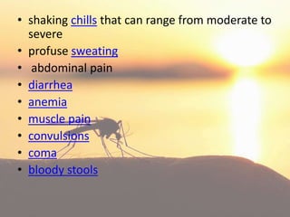 Ppt malaria , JOMY GEORGE | PPTX