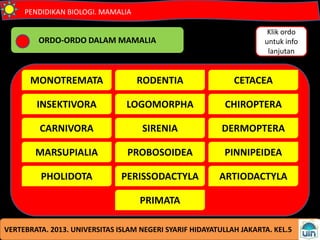 Ppt mamalia | PPTX