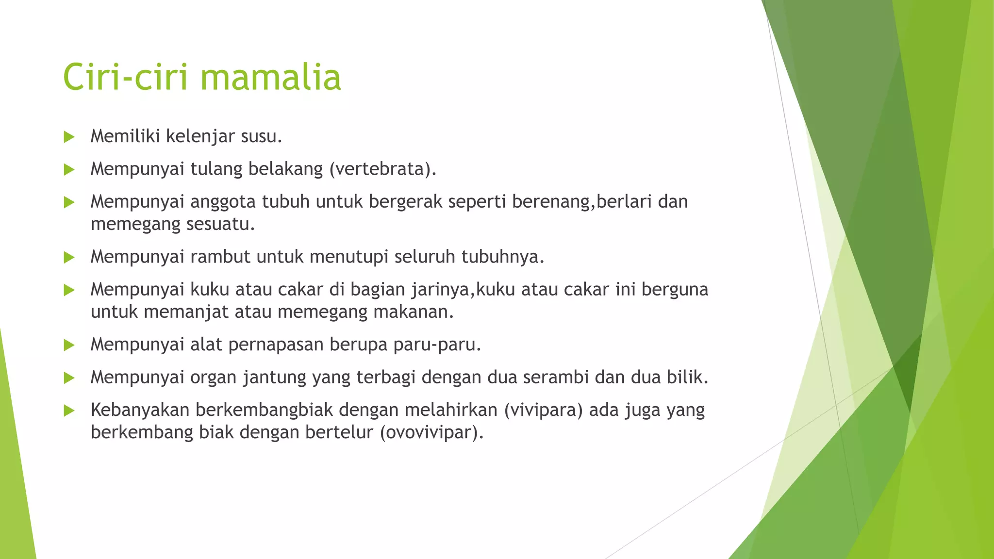 Ppt MAMALIA MIA.pptx