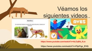 PPT Mamíferos Semana 22 al 26 mayo.pptx