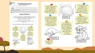 PPT Mamíferos Semana 22 al 26 mayo.pptx