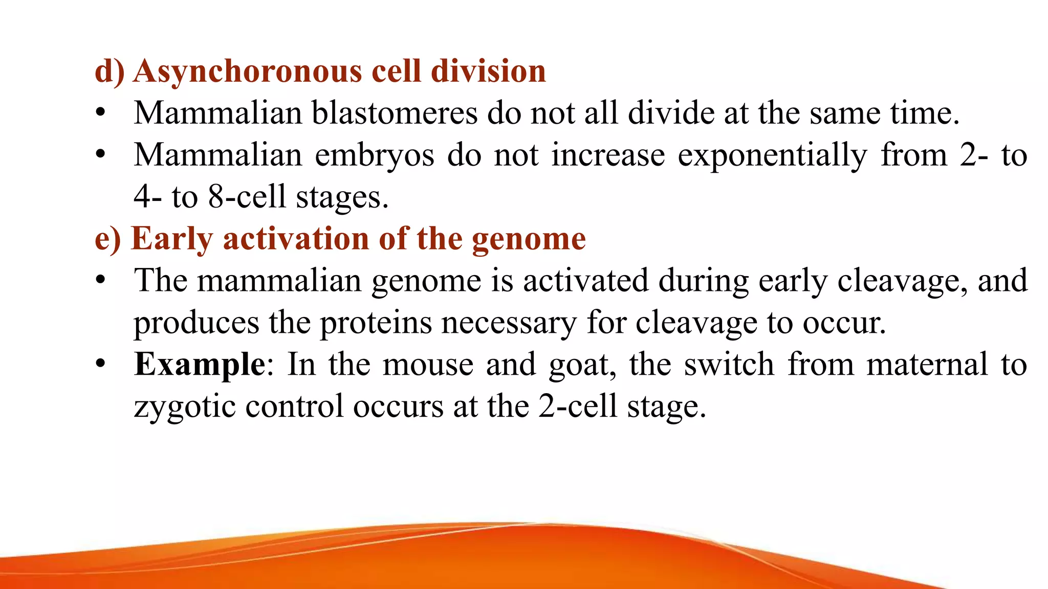 EARLY MAMMALIAN DEVELOPMENT | PPTX