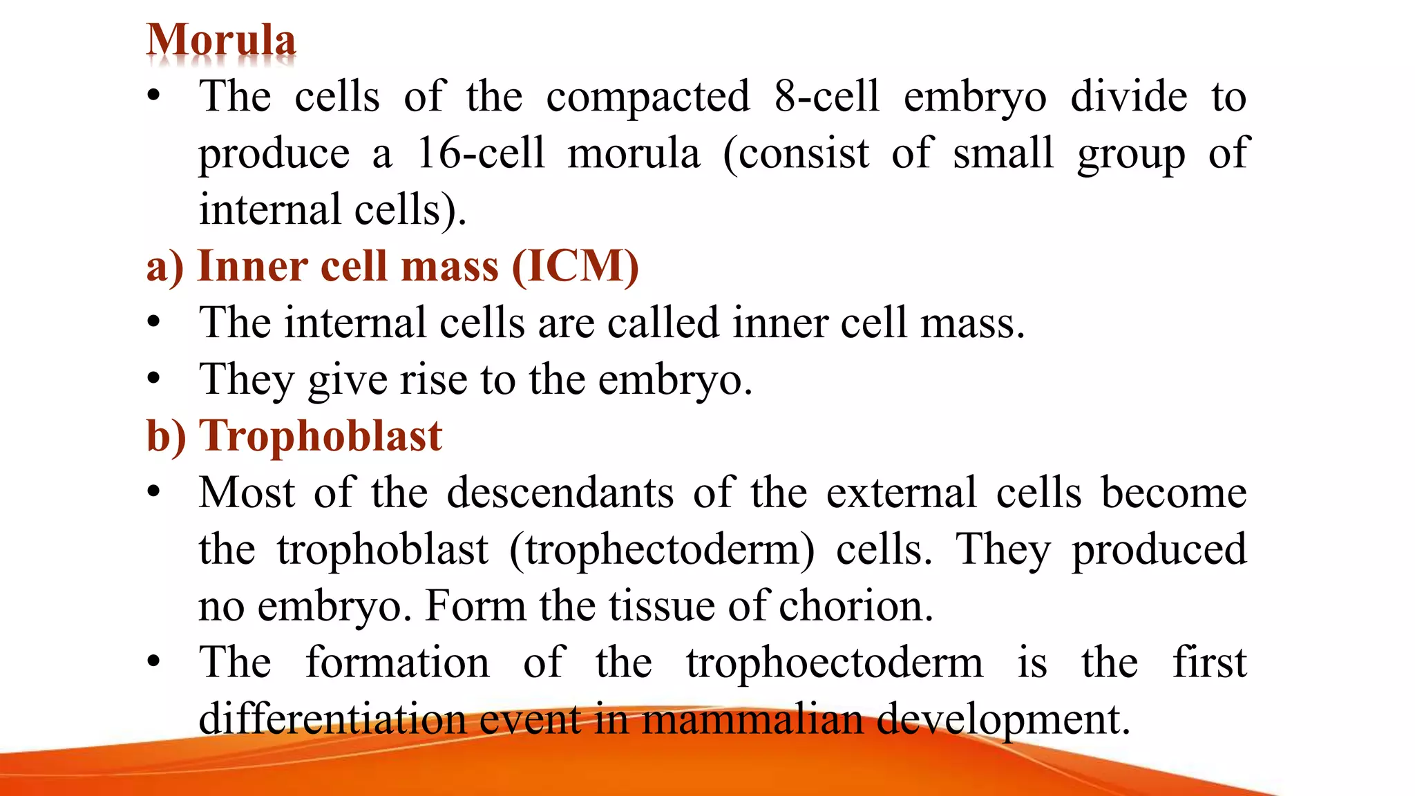 EARLY MAMMALIAN DEVELOPMENT | PPTX