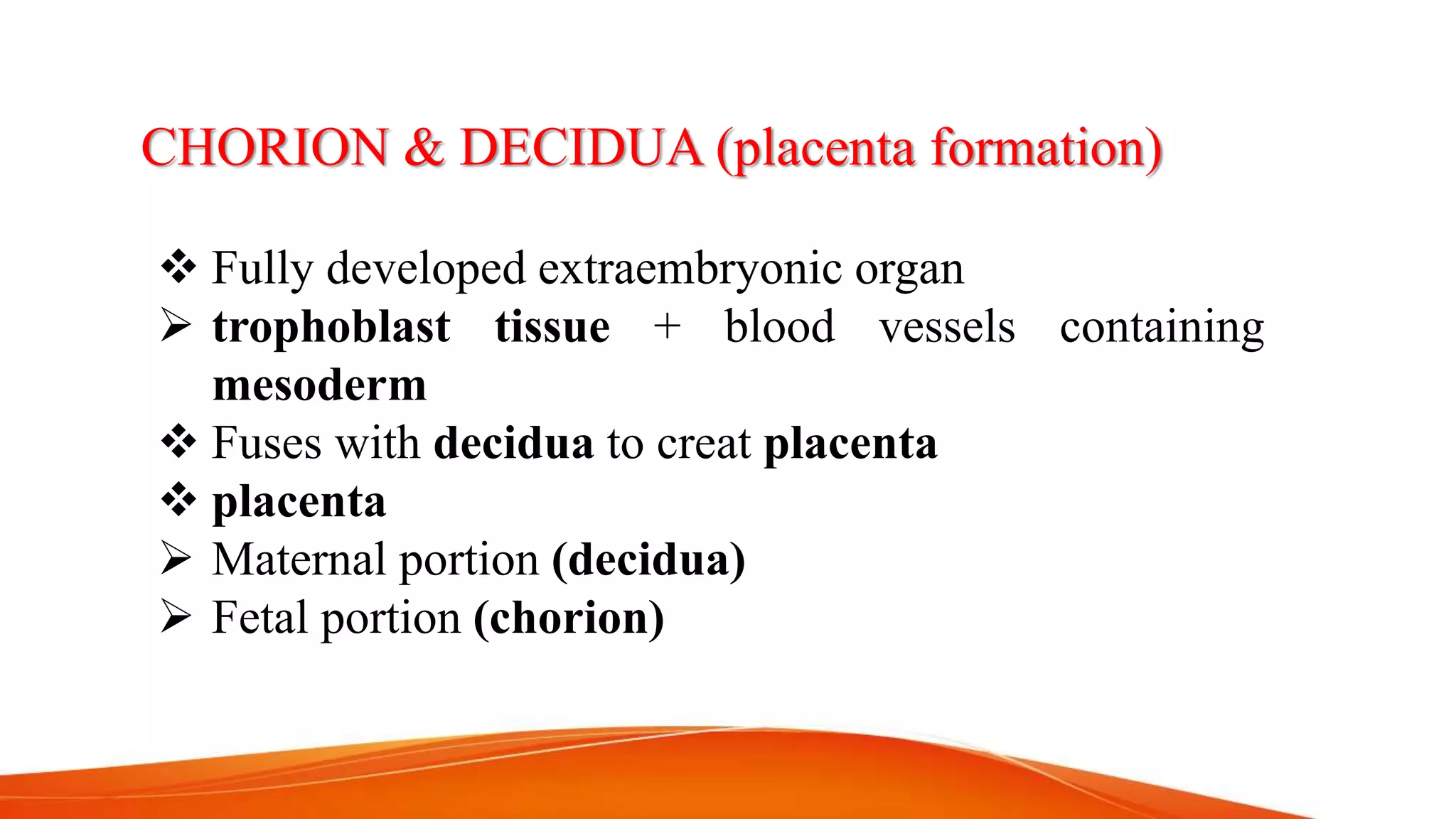 EARLY MAMMALIAN DEVELOPMENT | PPTX