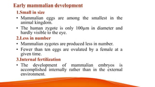 EARLY MAMMALIAN DEVELOPMENT | PPTX