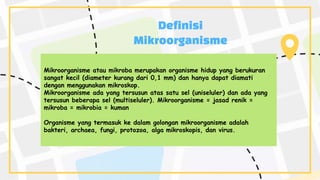 PPT MAnagement Patient Safety.pptx