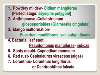 Disease of mango | PPTX