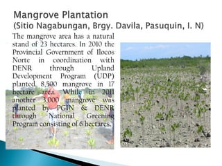 State of the Mangroves: Ilocos Norte | PDF