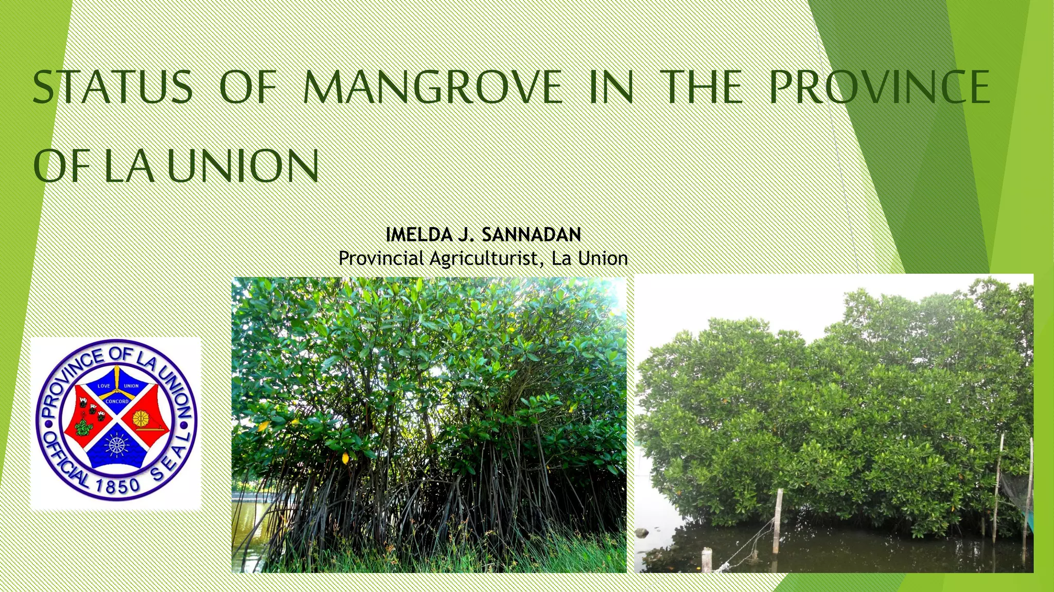 State of the Mangroves: La Union | PDF