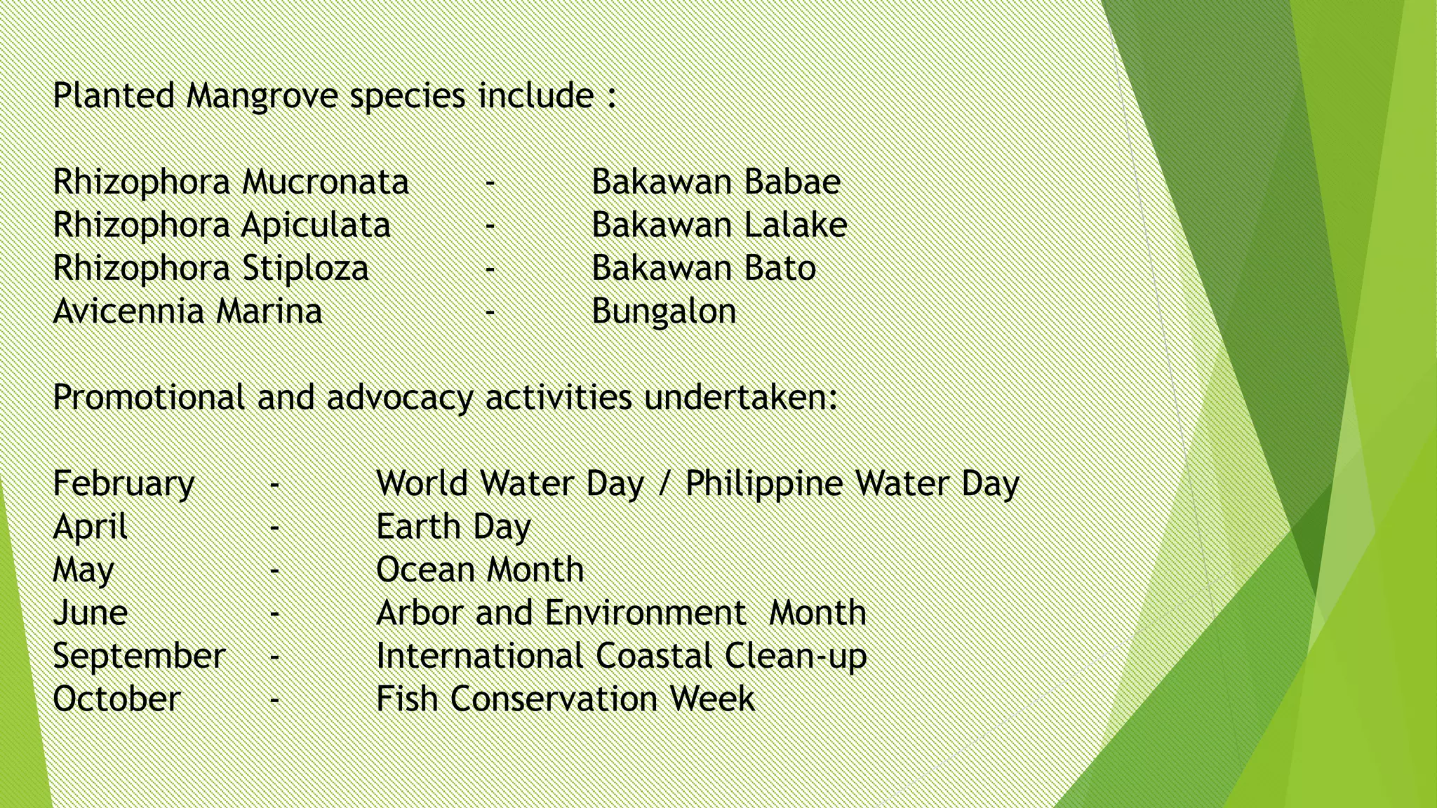 State of the Mangroves: La Union | PDF