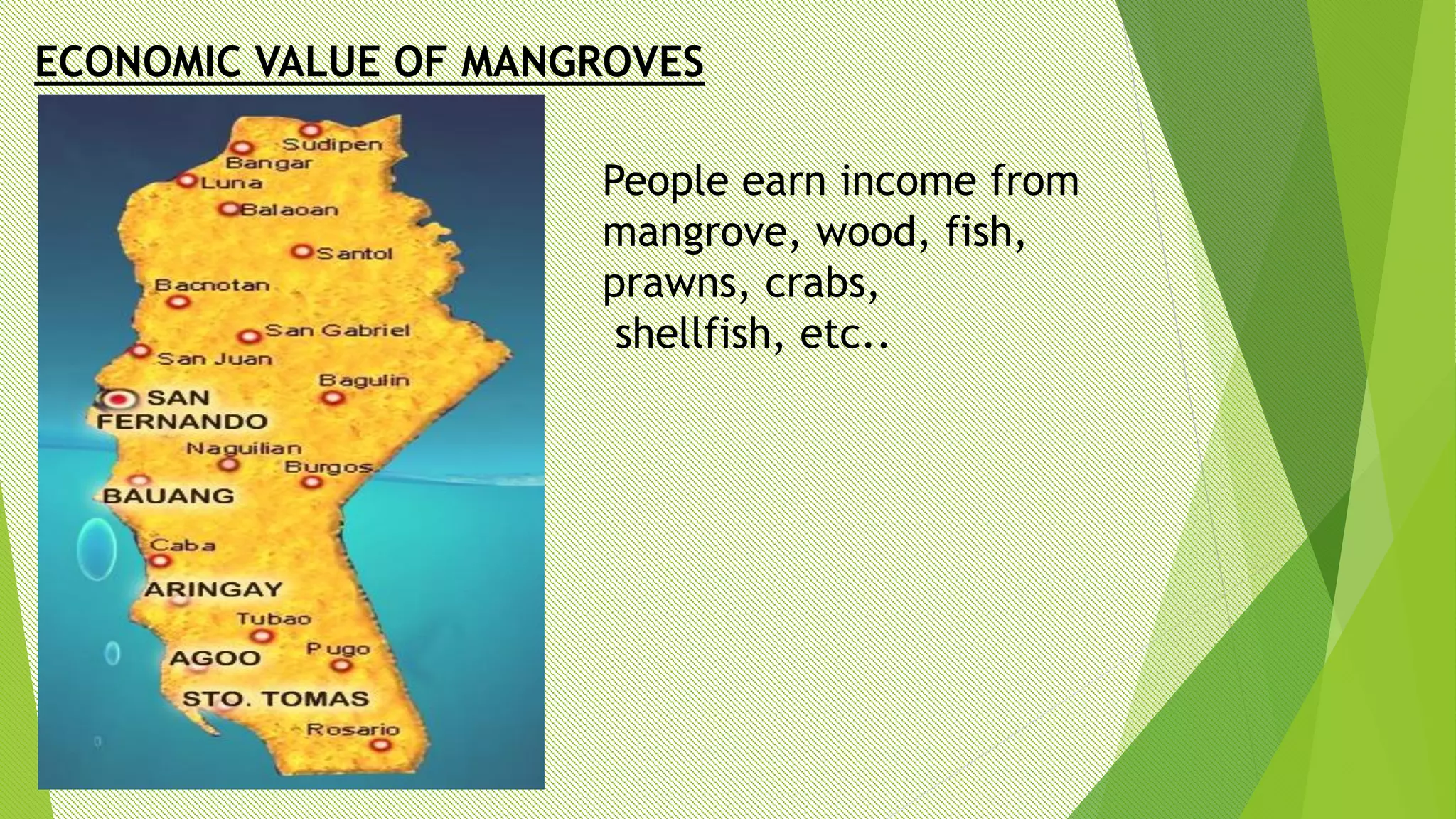 State of the Mangroves: La Union | PDF