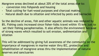 State of the Mangroves: La Union | PDF