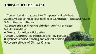 State of the Mangroves: La Union | PDF
