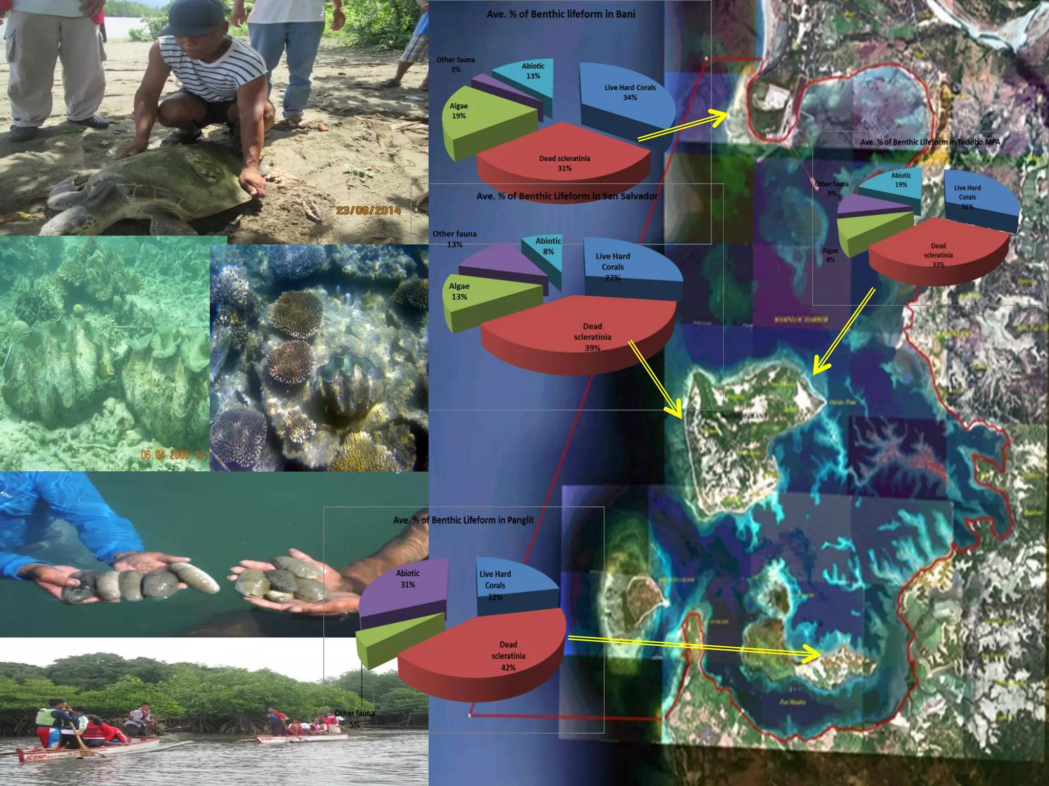 State of the Mangroves: Masinloc, Zambales | PDF