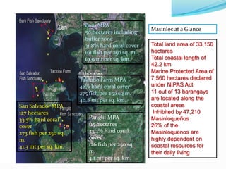 State of the Mangroves: Masinloc, Zambales | PDF
