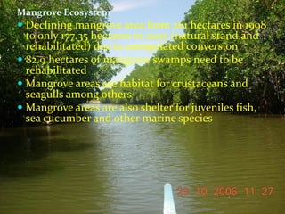 State of the Mangroves: Masinloc, Zambales | PDF
