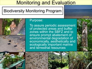 State of the Mangroves: Subic Bay Freeport Zone | PPT