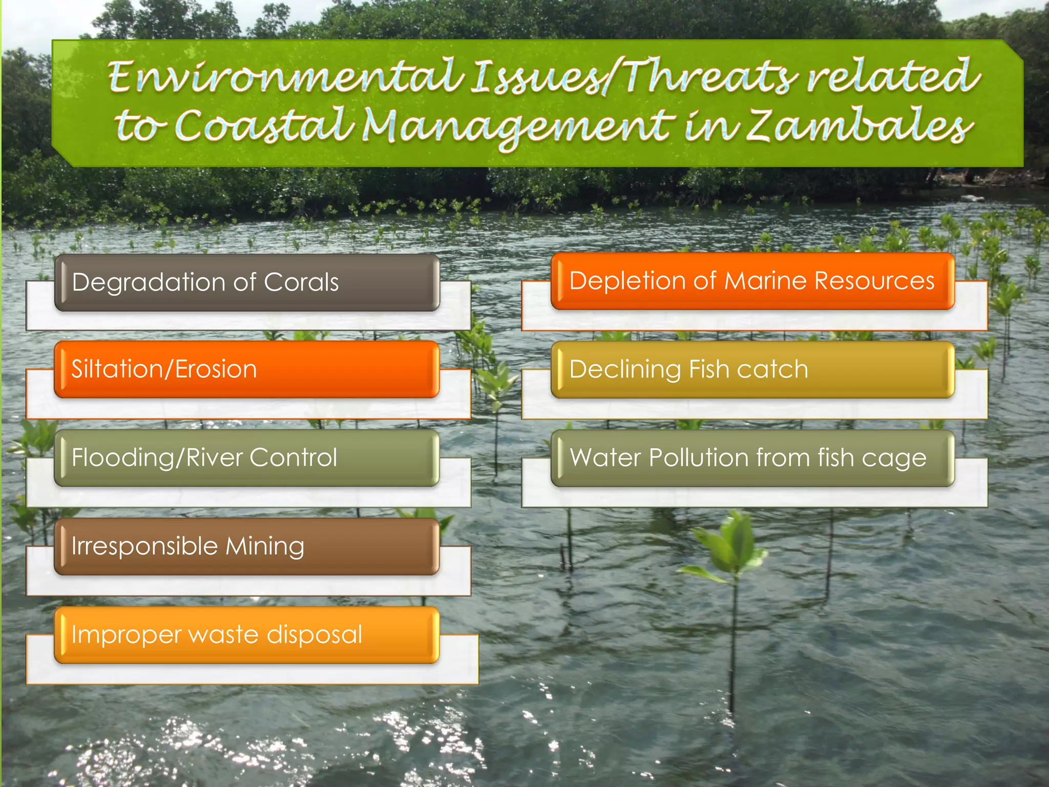 State of the Mangroves: Zambales | PDF