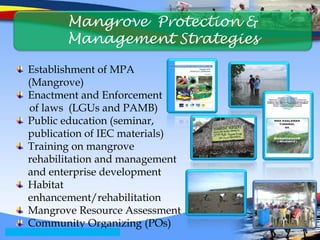 State of the Mangroves: Zambales | PDF
