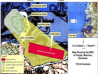 State of the Mangroves: Zambales | PDF
