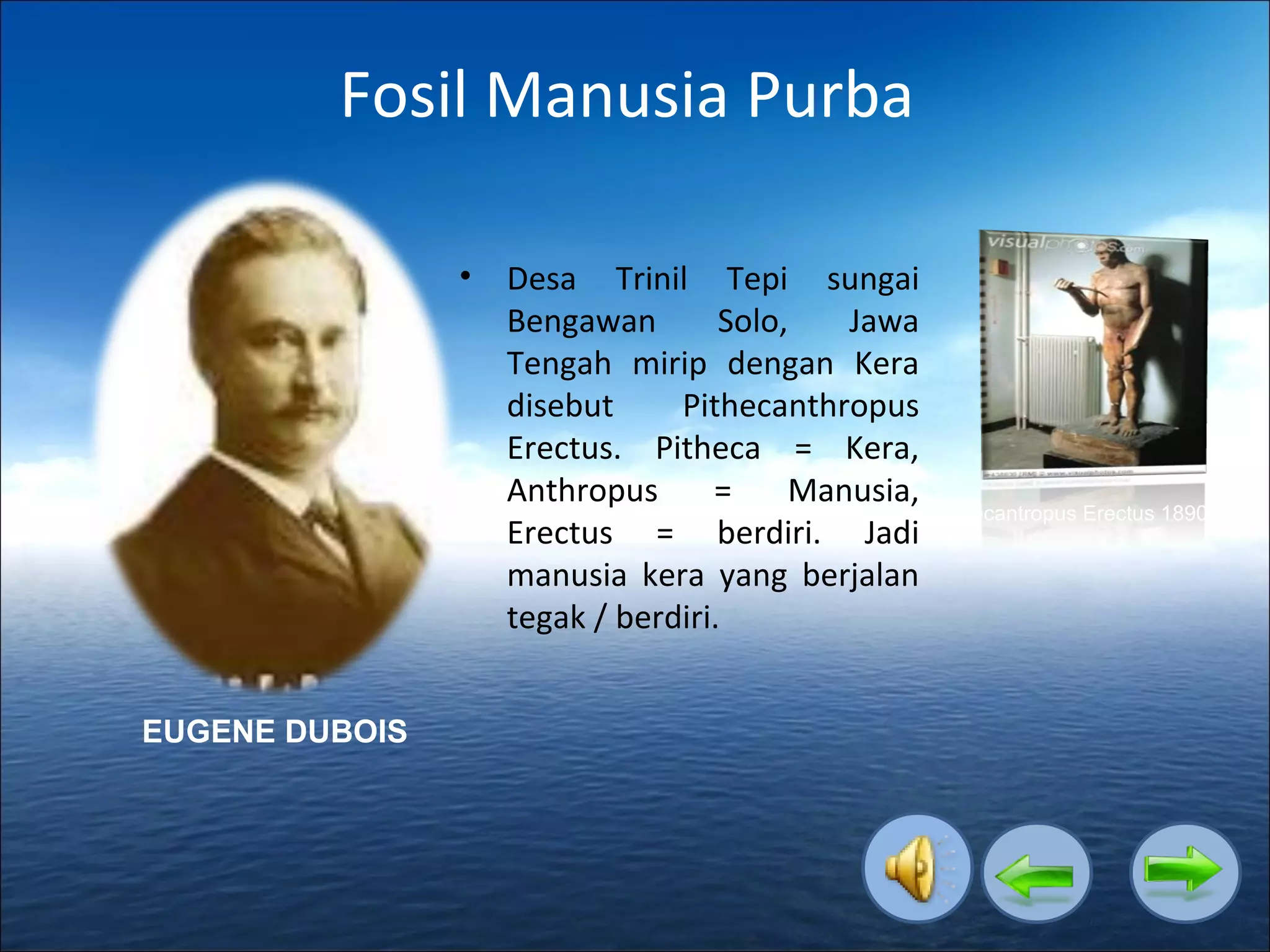 Ppt ( manusia purba ) | PPT