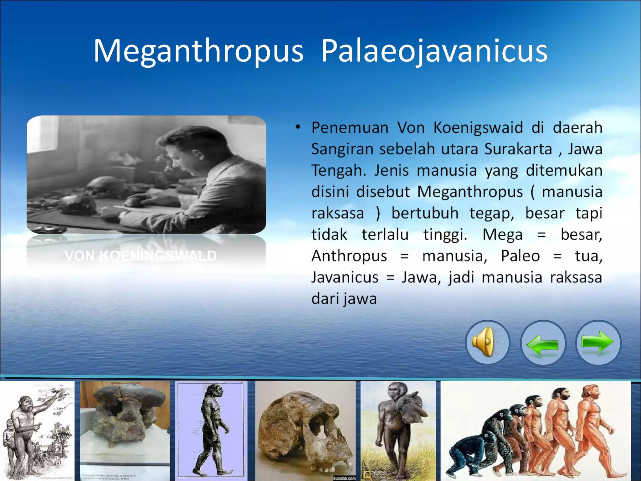 Ppt ( manusia purba ) | PPT