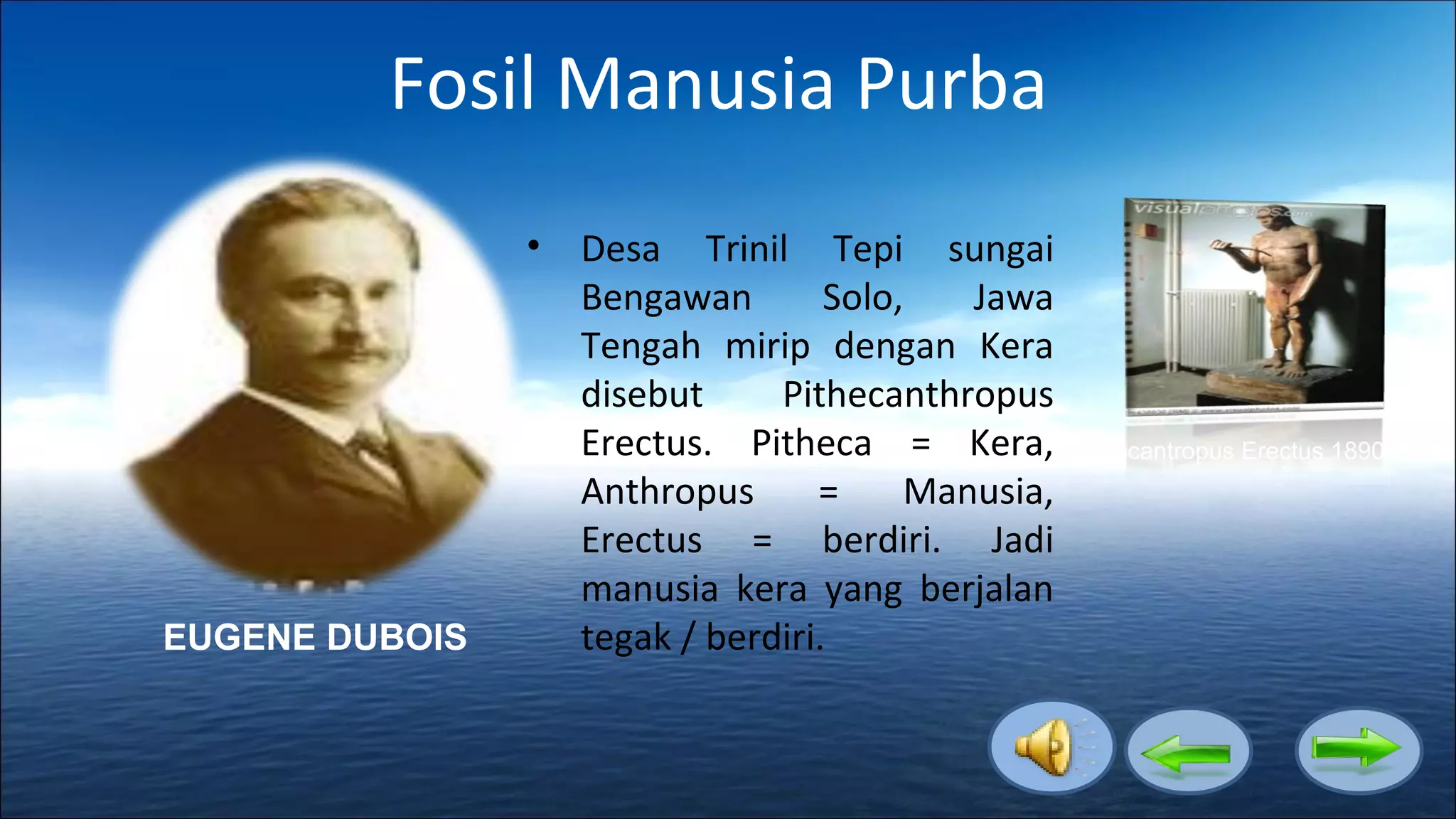 Ppt ( manusia purba ) | PPT
