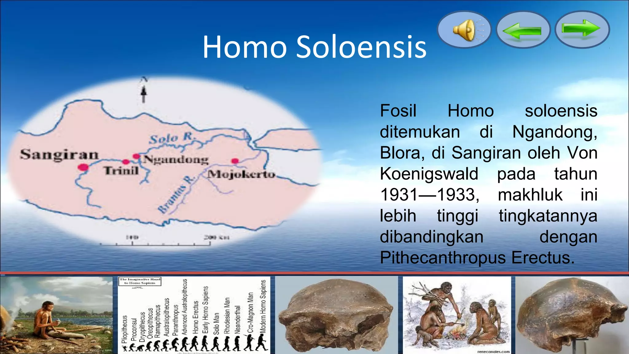 Ppt ( manusia purba ) | PPT