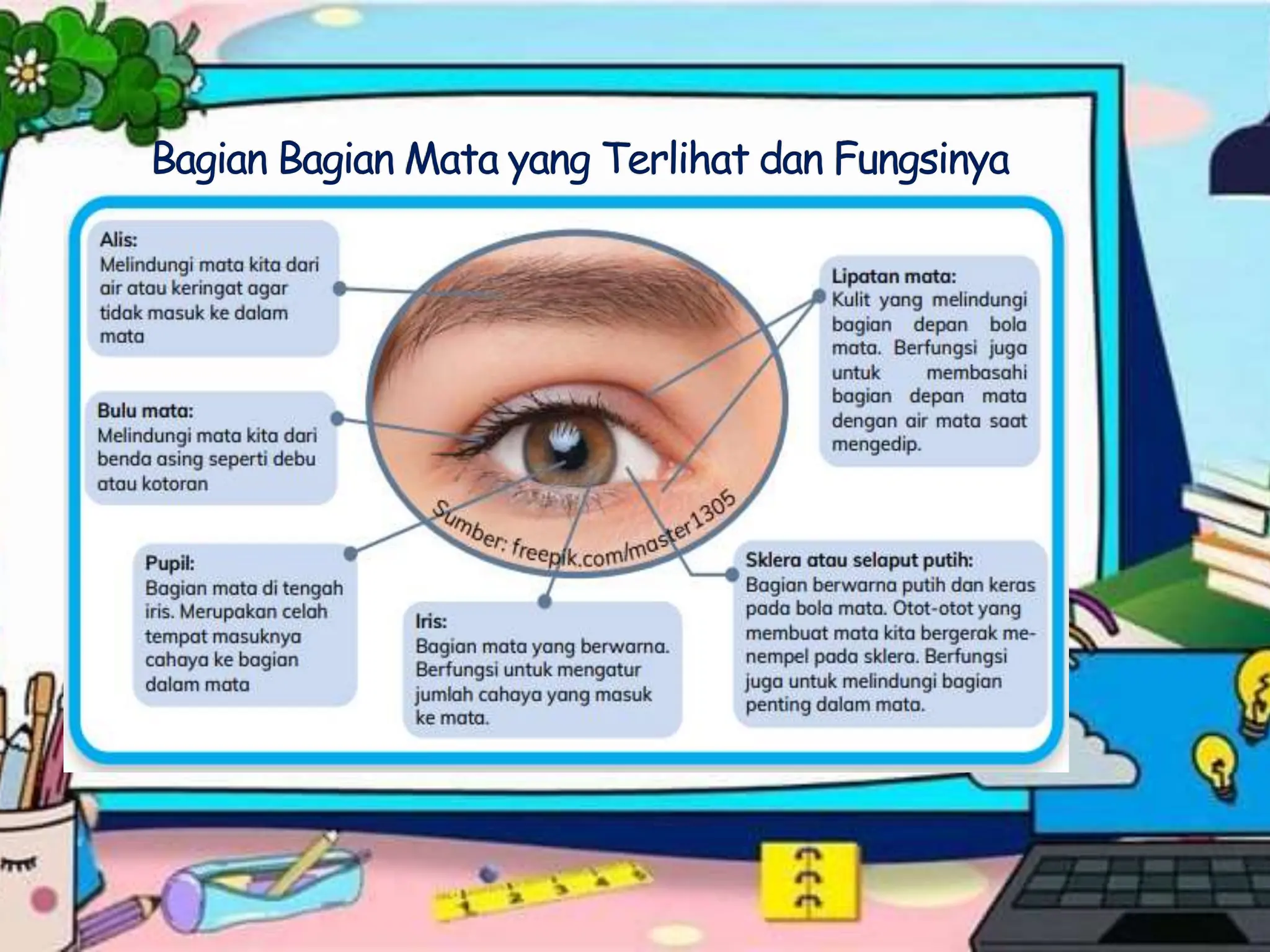 PPT MARDIA HAYATI SIKLUS 2 indra penglihat | PPTX