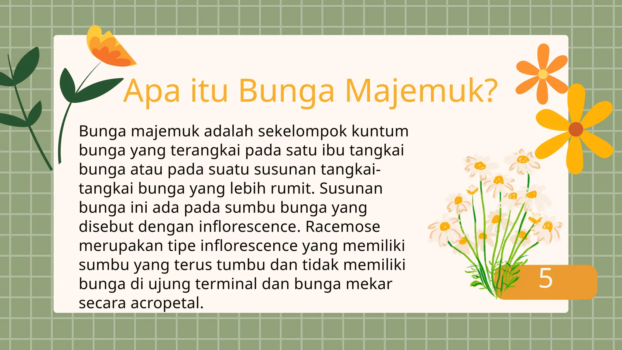 PPT MARFOLOGI BUNGA MAJEMUK-- KEL.3.pptx