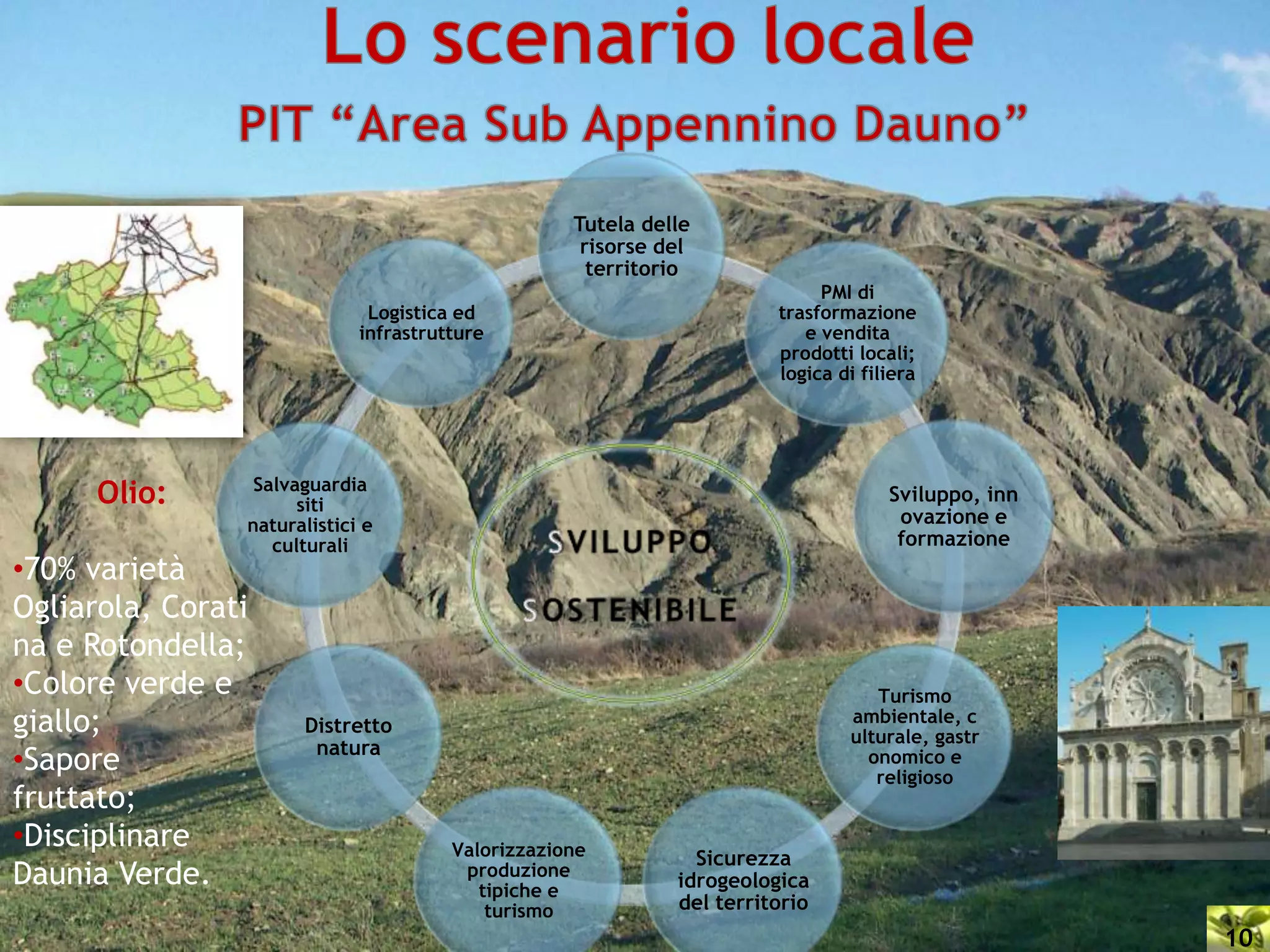 Analisi del settore dell'olio d'oliva: le premesse per creare una start ...