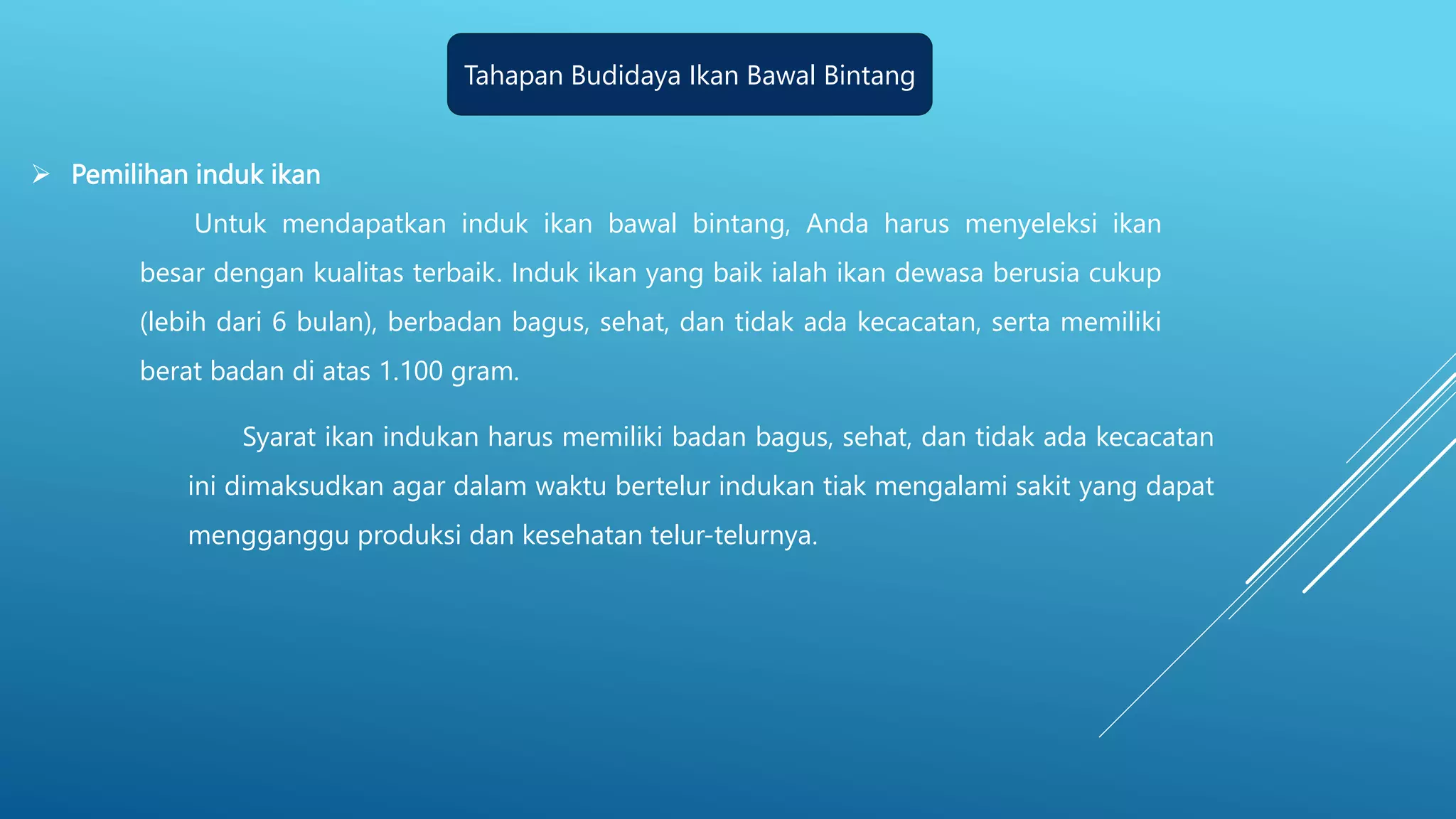 ppt marinkultur.pptx