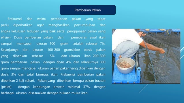 ppt marinkultur.pptx