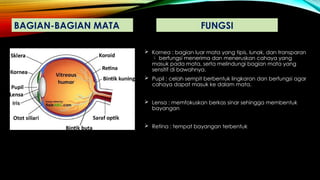 PPT MATA DAN CACAT MATA (Fisika kelas 8) .pptx