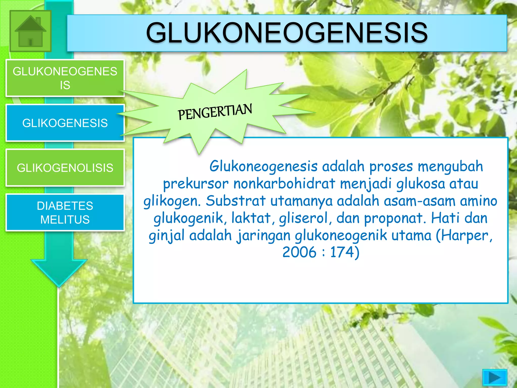 Glukoneogenesis, Glikogenesis, Glikogenolisis dan Diabetes Melitus | PPTX