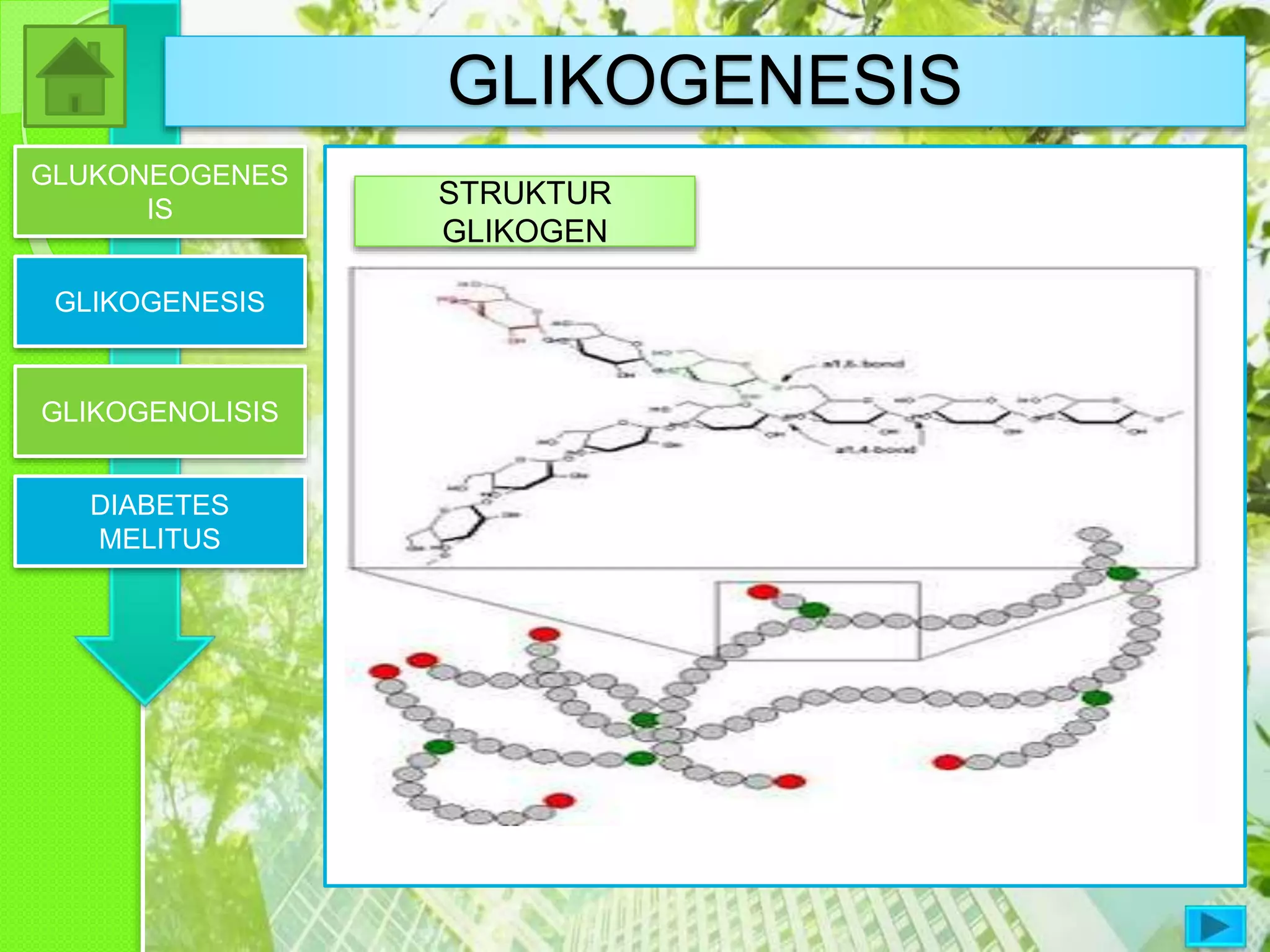 Glukoneogenesis, Glikogenesis, Glikogenolisis dan Diabetes Melitus | PPTX
