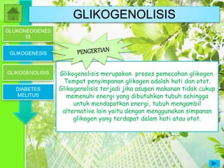 Glukoneogenesis, Glikogenesis, Glikogenolisis dan Diabetes Melitus | PPTX