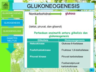 Glukoneogenesis, Glikogenesis, Glikogenolisis dan Diabetes Melitus | PPTX